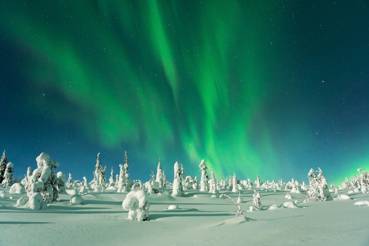 Ruka offers something for everyone - Discover activities and events